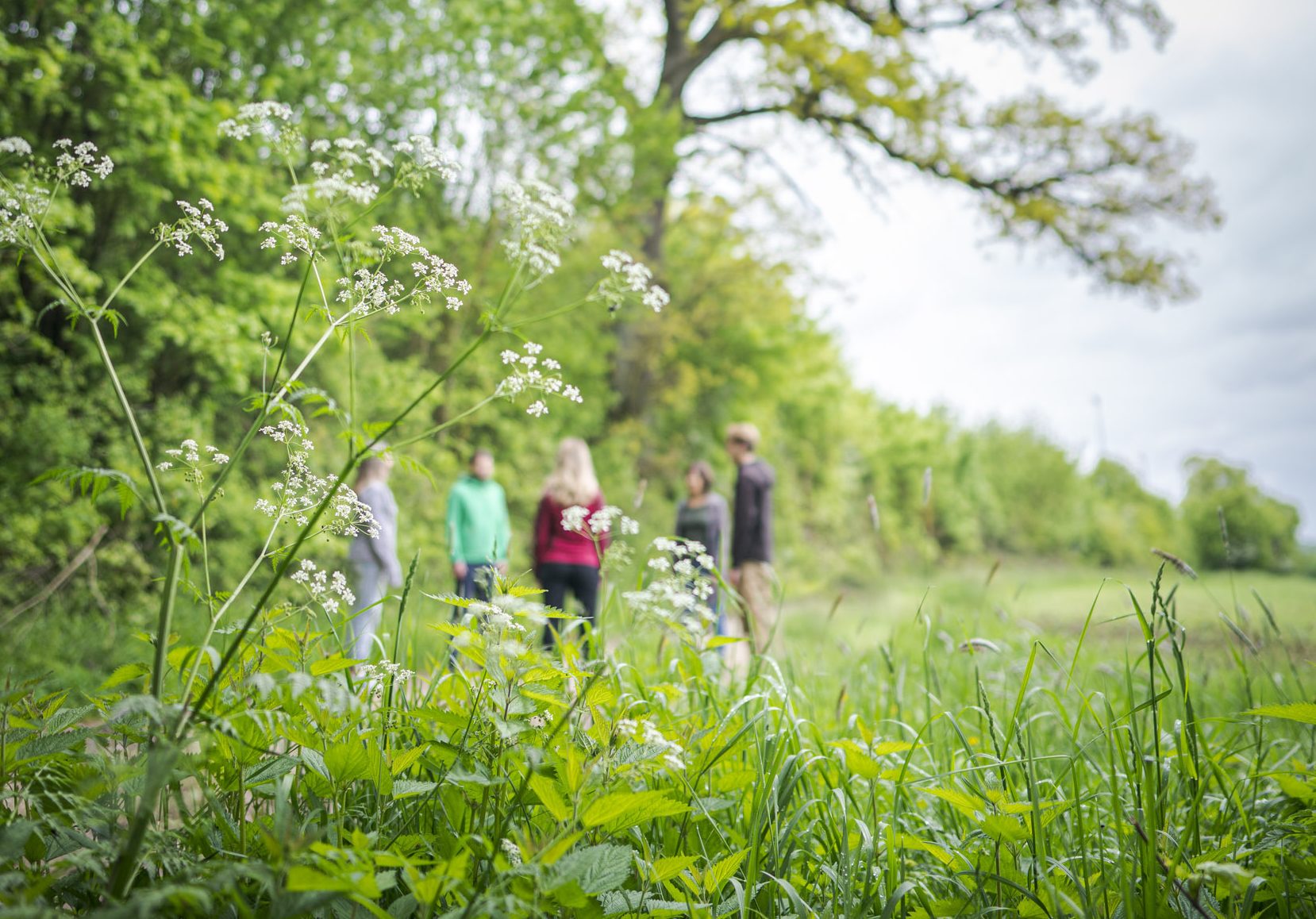 Zomerstrippenkaart Bosbaden – jouw seizoen van verbinding - Forest ...