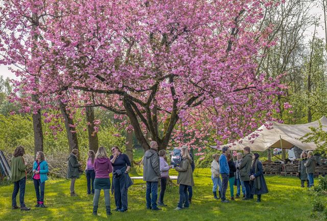 Waarom bedrijven voor onze Bosbaden kiezen - Forest bathing Academy en ...